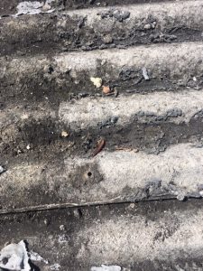 Transite - Thermal-Tec Roofing